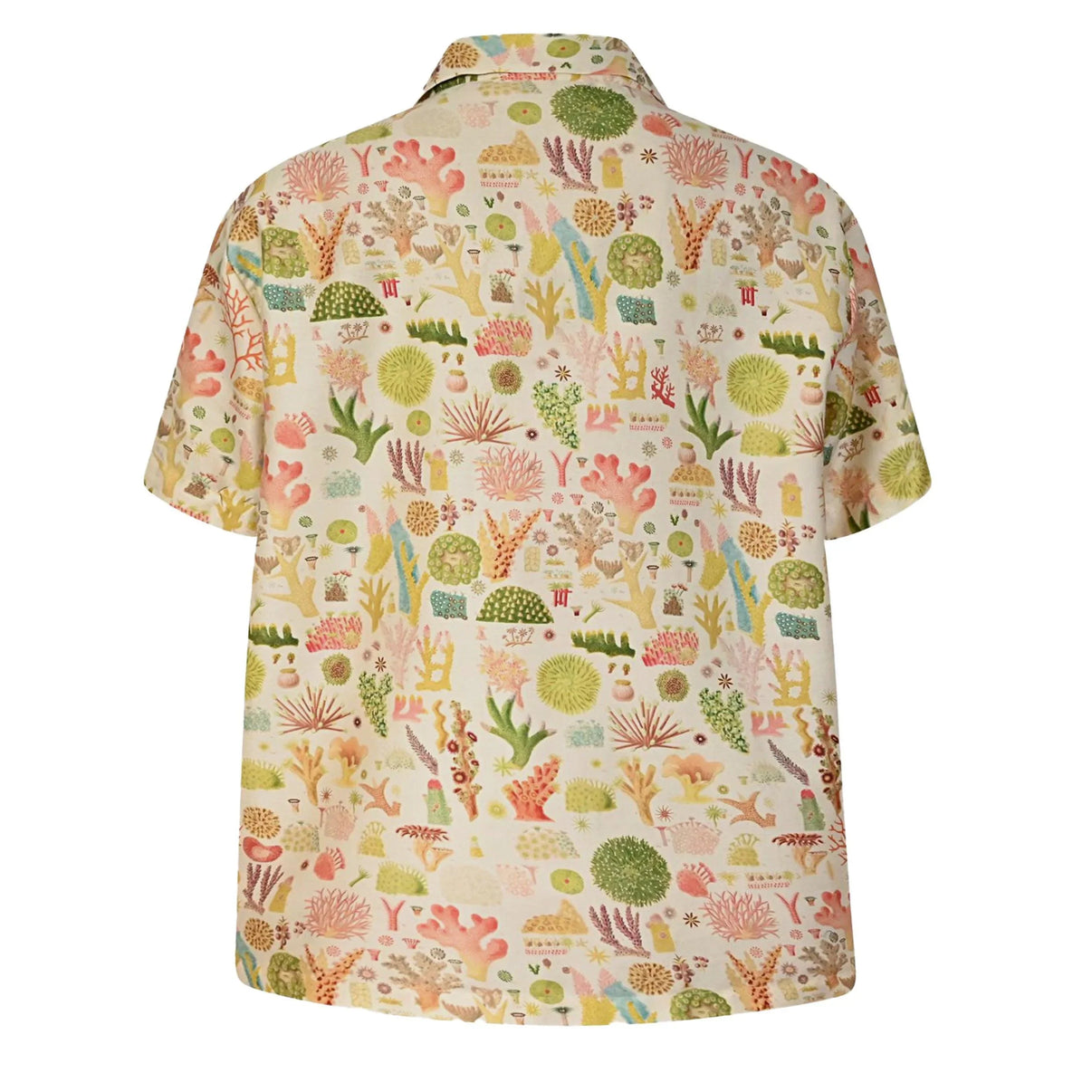 kit/coral reef-NHM collaboration – PALAVA japan